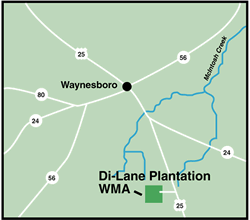 Di-Lane Plantation Wildlife Management Area